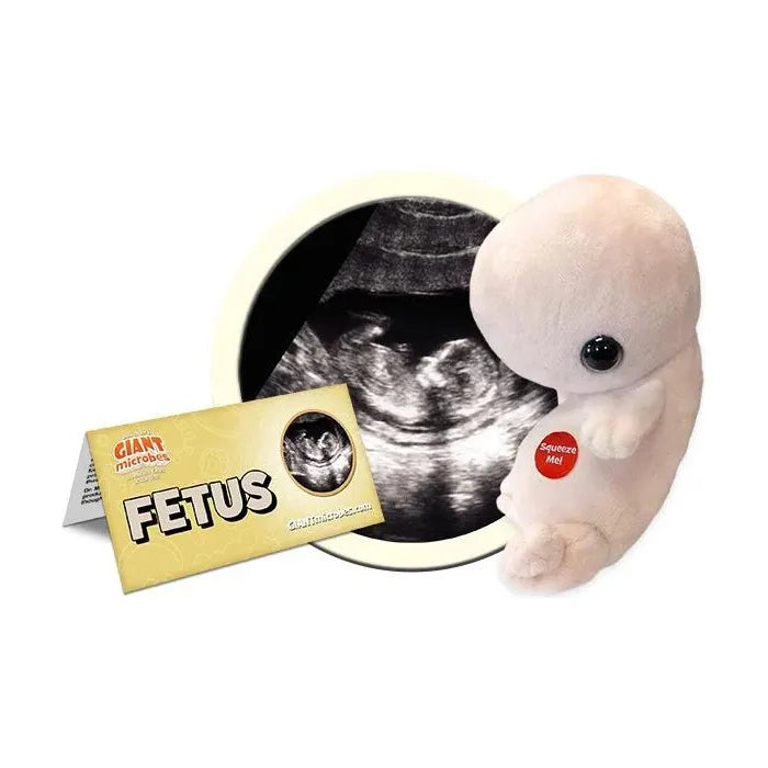 Fetus (Human Being) GIANTmicrobe Plush — Science & Nature Co.