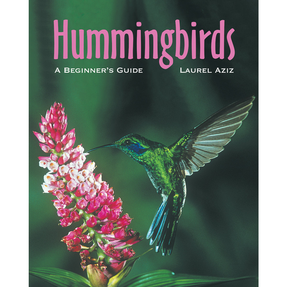 Hummingbirds: A Beginner's Guide — Science & Nature Co.