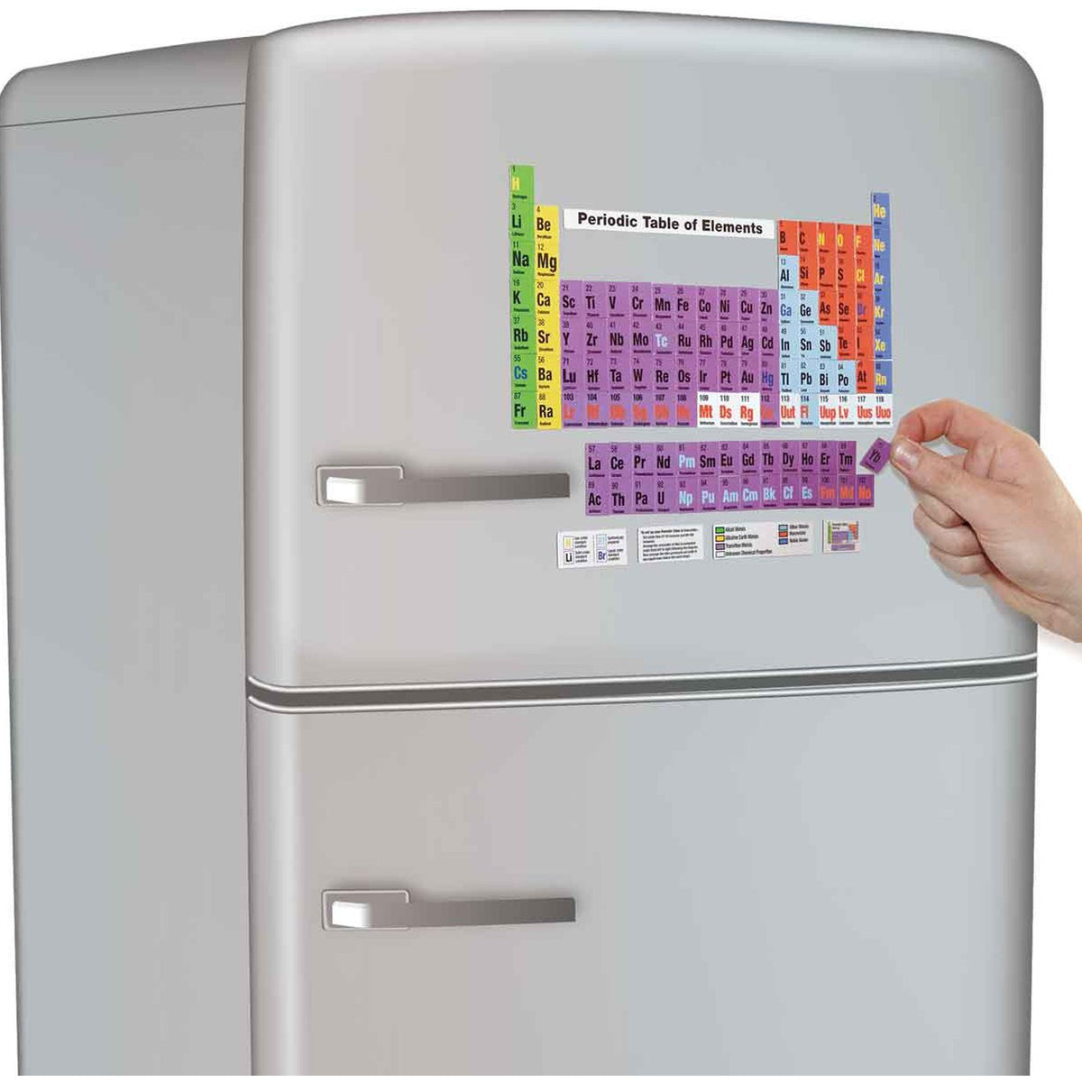 Periodic Table Magnets — Science & Nature Co.