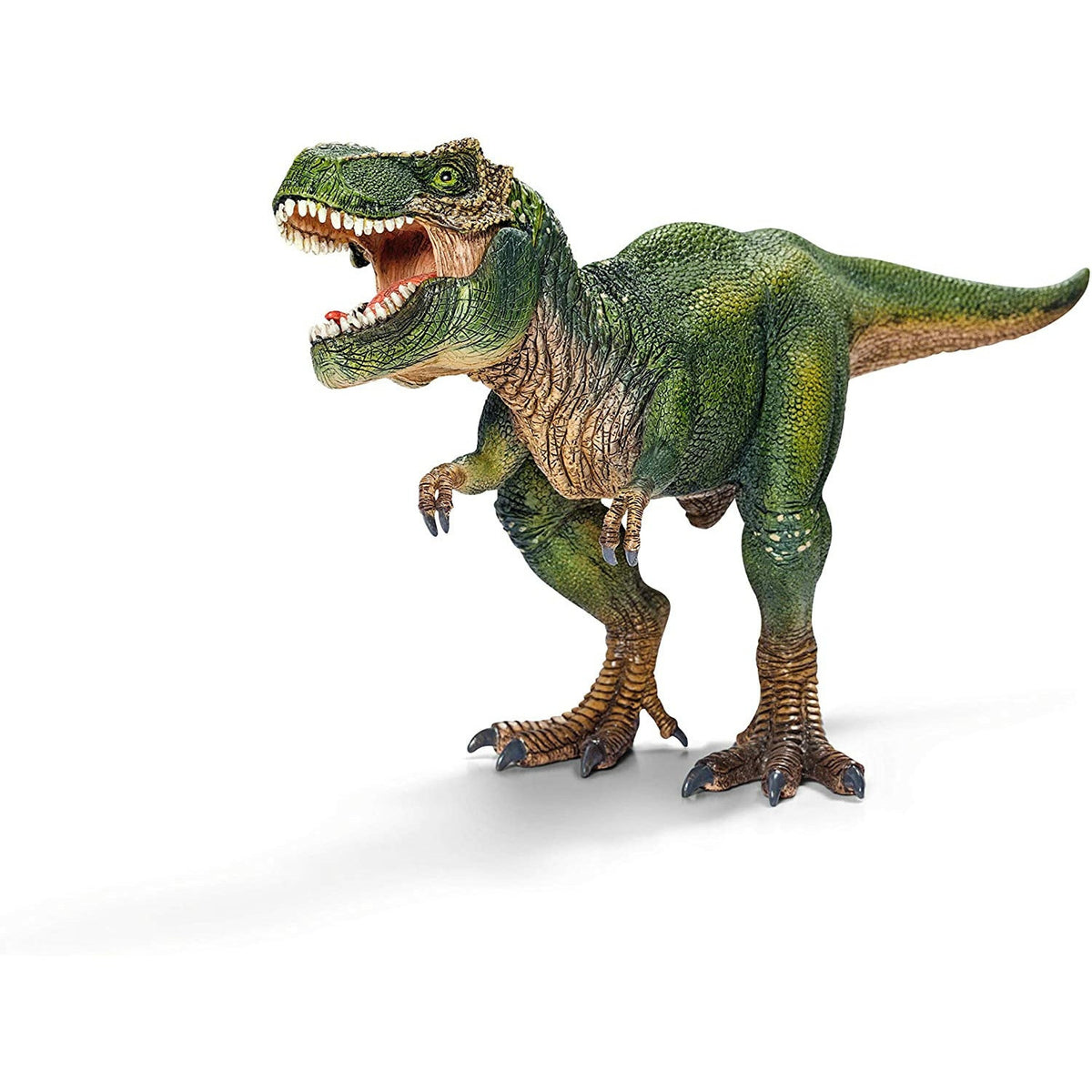 Tyrannosaurus rex — Science & Nature Co.